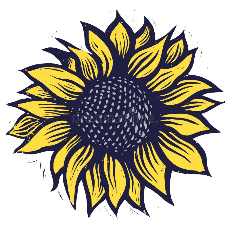 Vector Sunflower. Sunflower Illustration Stock Vector - Illustration of ...