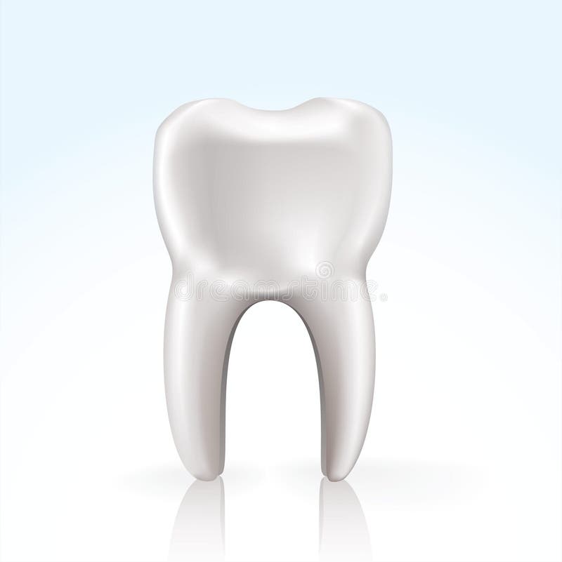 Vector tand vector illustratie. Illustration of geneeskunde - 16085117