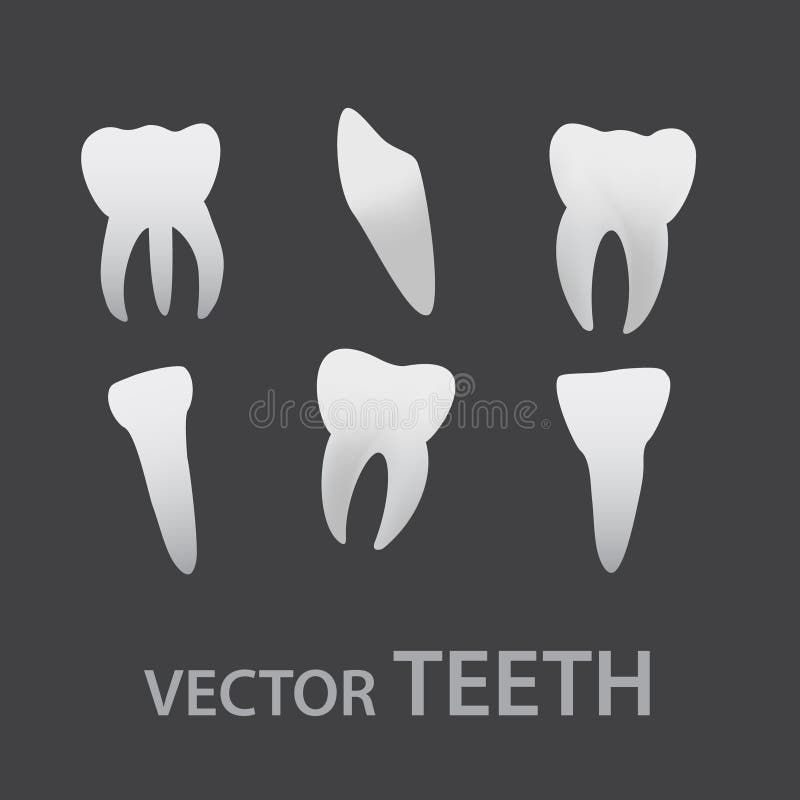 Vector teeth icons eps10 stock vector. Illustration of simple - 36045207