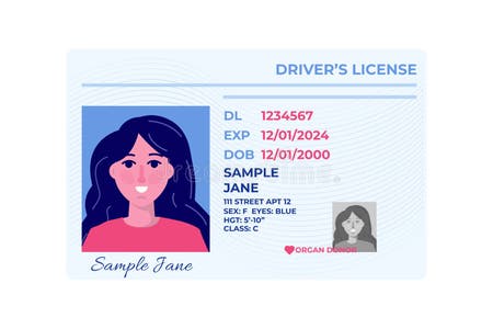 Vector Template of Car Driver License Plastic Card. Stock Vector ...