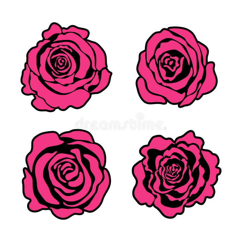 Vector Template Roses. Set of Flowers. Stock Vector - Illustration of ...
