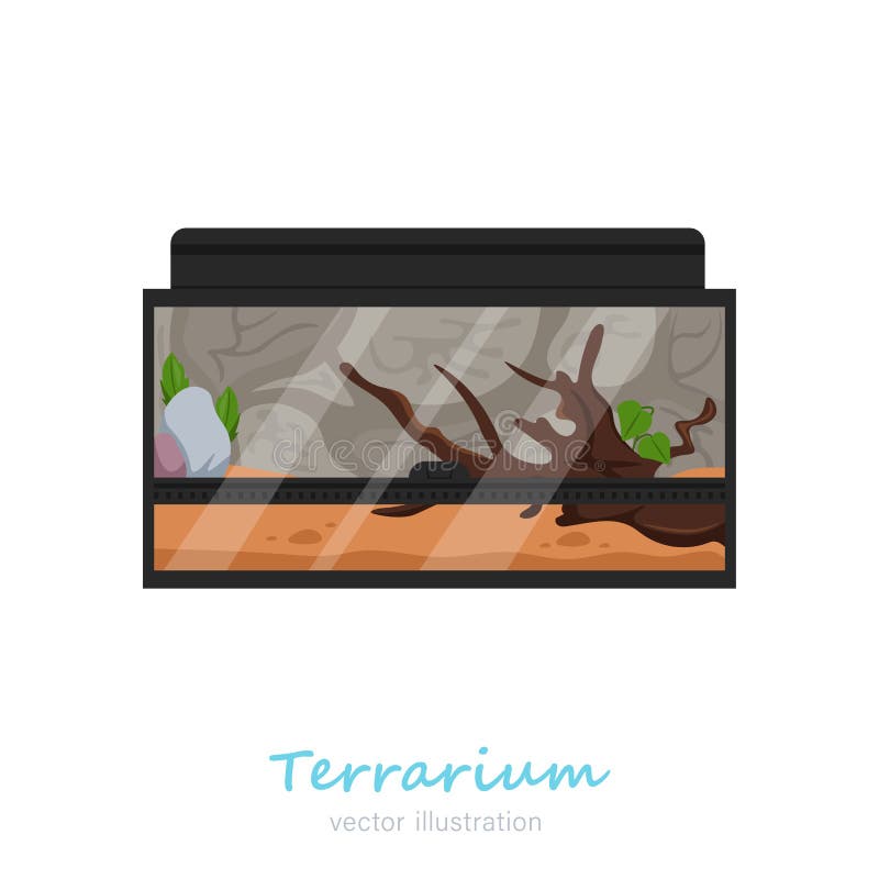 Terrarium Stock Illustrations – 12,391 Terrarium Stock Illustrations ...