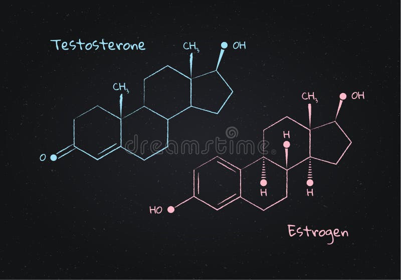 Vector Testosterone and Estrogene Structure Banner Illustration Set ...