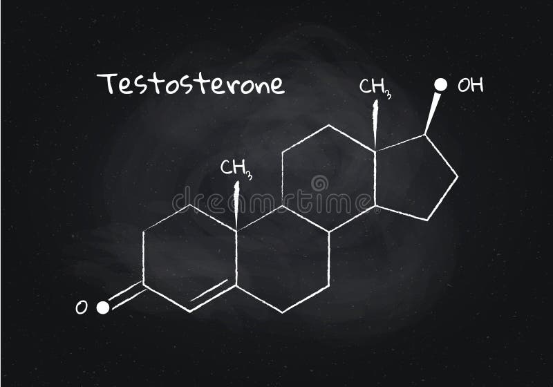 Vector Testosterone Structure Banner Illustration Hormone Associated