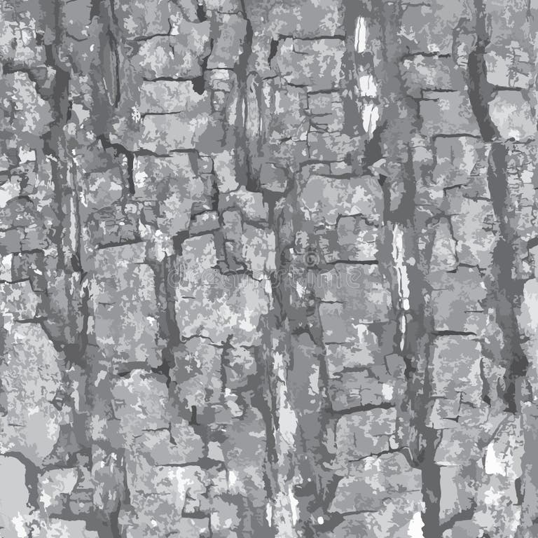 Vector Texture Rough Bark of a Large Tree for the Design Scratch ...