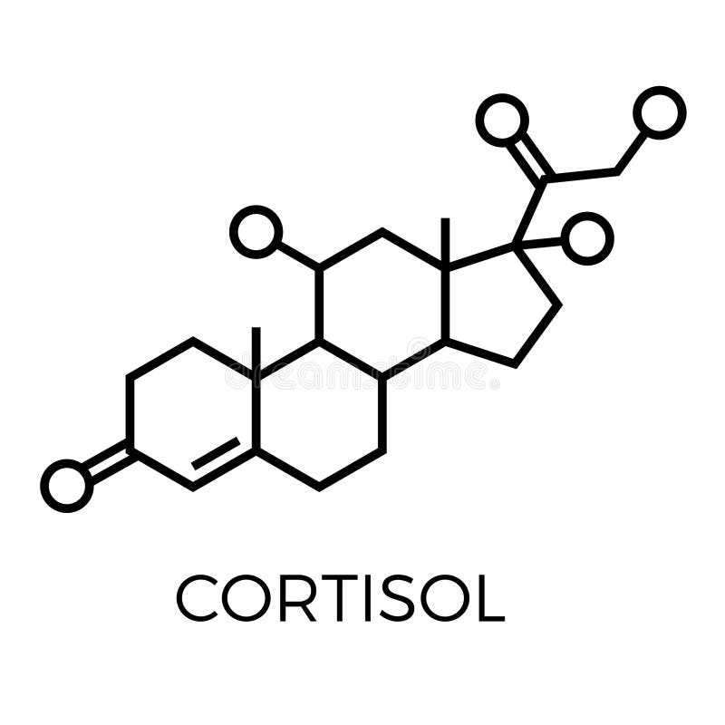 Cortisol Structure