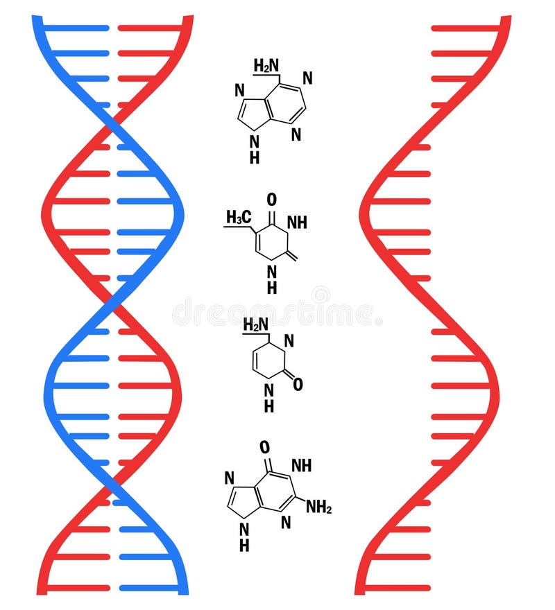 Vector Thin-line ICON Related with RNA and DNA Stock Vector ...