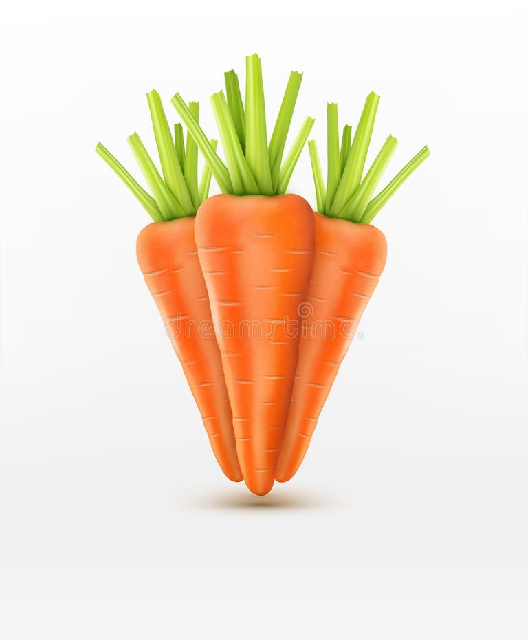 Carrots Stock Illustrations – 127,788 Carrots Stock Illustrations ...