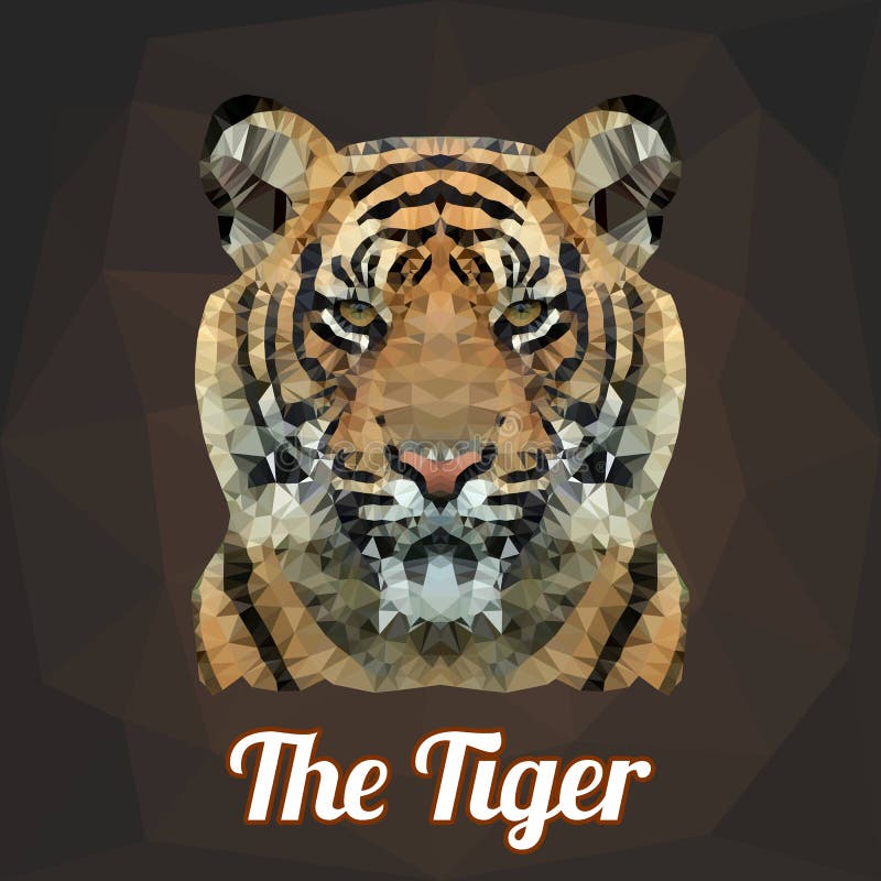 Vector Tiger Head Del Polígono Ilustración del Vector - Ilustración de ...