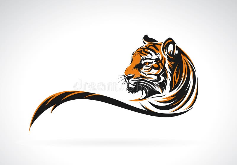 Vector of Tiger Head Design on White Background. Easy Editable Layered ...