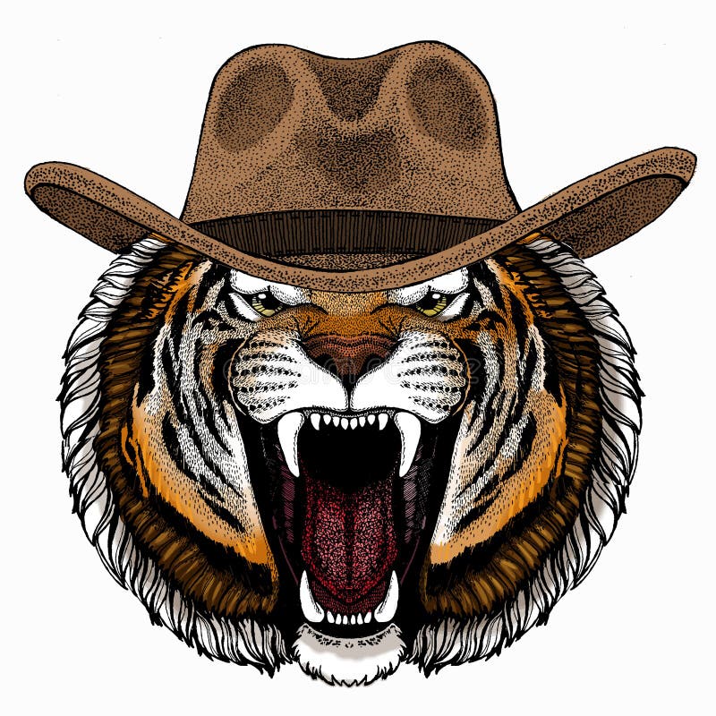 Tiger Cowboy Hat Stock Illustrations – 60 Tiger Cowboy Hat Stock ...