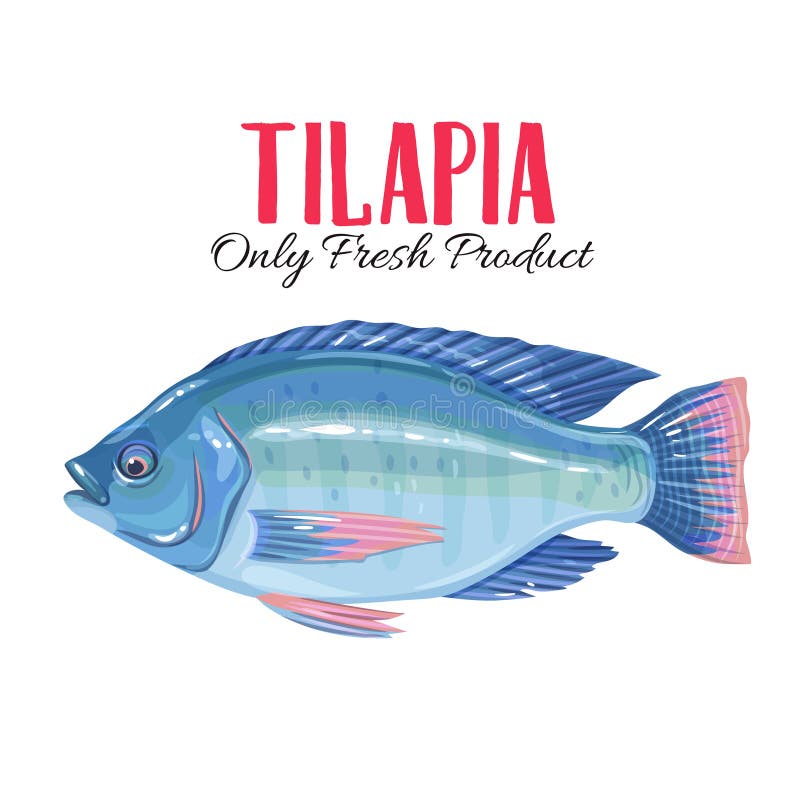 Logo Tilapia Stock Illustrations – 354 Logo Tilapia Stock Illustrations ... Logo Tilapia Stock Illustrations – 354 Logo Tilapia Stock Illustrations ...