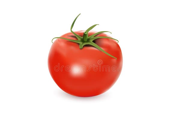 Vector Illustration Tomato Stock Illustrations – 145,050 Vector ...