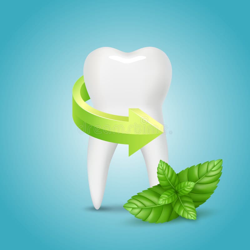 Vector Tooth Around a Protective Green Arrow and Mint Leaves on a Blue ...