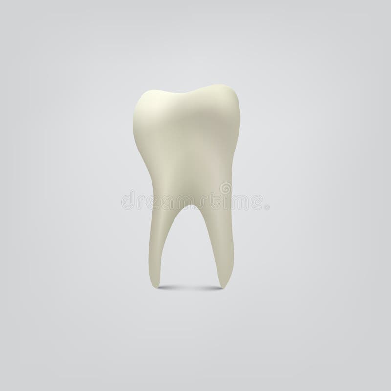 Vector Tooth on Gray Background. Stock Vector - Illustration of hygiene ...