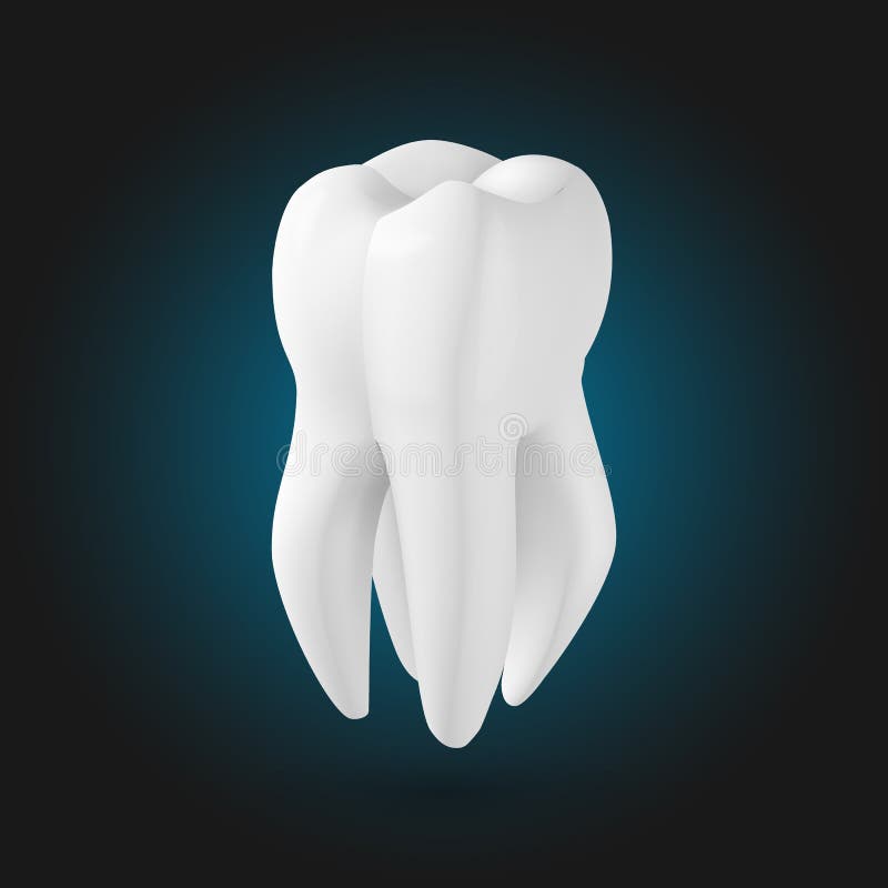 Tooth 3d Vector