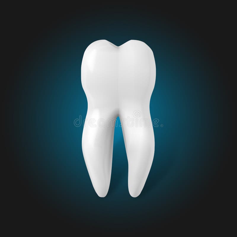 Vector Tooth. Realistic 3D Teeth Template Stock Vector - Illustration ...