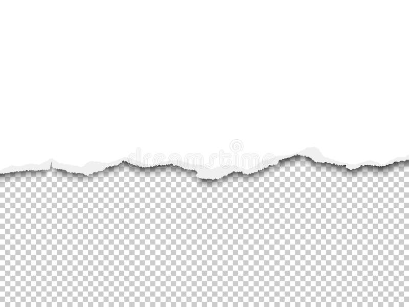 Torn A Half Sheet Of White Paper From The Bottom Placed On Transparent ...