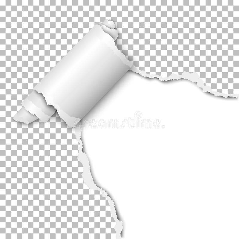 Vector Torn Lower Left Corner of Sheet of White Paper with Paper Curl ...