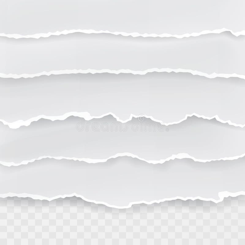 Vector Torn Hole In Sheet Of Paper. Transparent Background Of Resulting ...