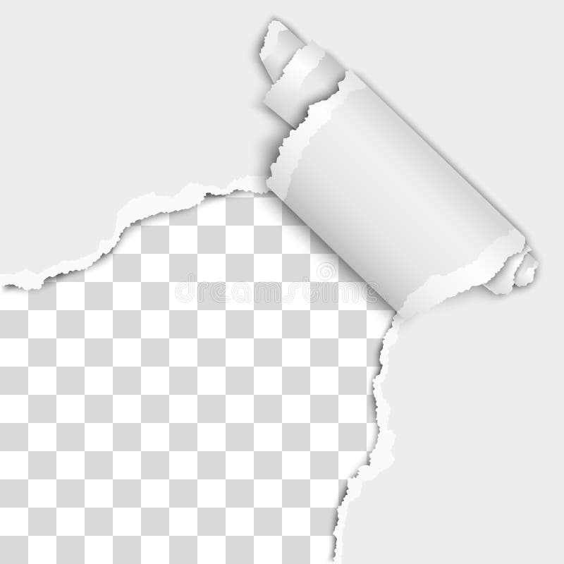 Vector Torn Lower Left Corner of Sheet of White Paper with Paper Curl ...