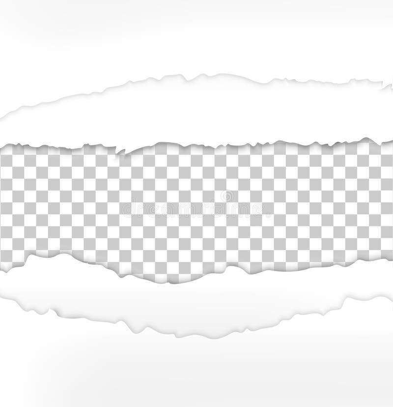 Ripped Paper Edge Vector