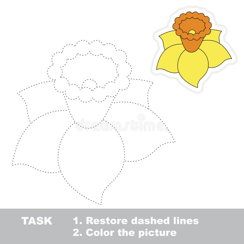 Daffodil. Drawing Worksheet. Stock Vector - Illustration of logic ...