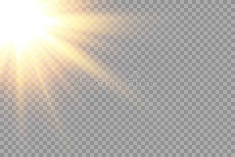 Vector Transparent Golden Sunlight Special Lens Flare Light Effect. Sun ...