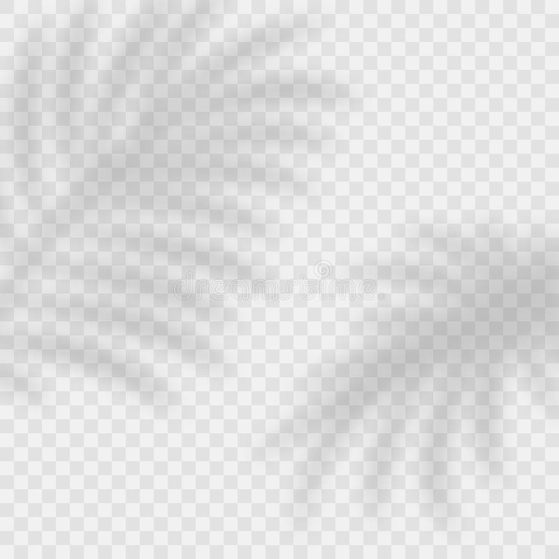 Vector Transparent Shadow Effects. Tropical Leaves, Palm Leaves Shadow ... Vector Transparent Shadow Effects. Tropical Leaves, Palm Leaves Shadow ...