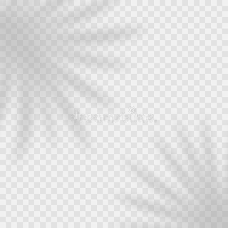 Vector Transparent Shadow Effects. Tropical Leaves, Palm Leaves Shadow ...