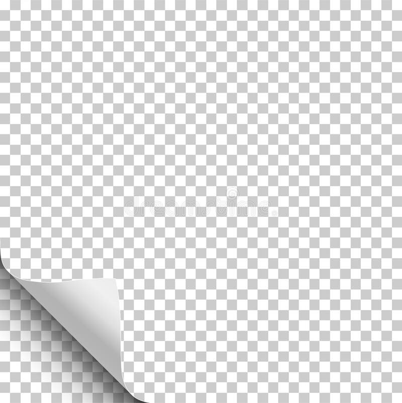 Vector Transparent Sheet of Paper with Curled Lower Left Corner Stock ...