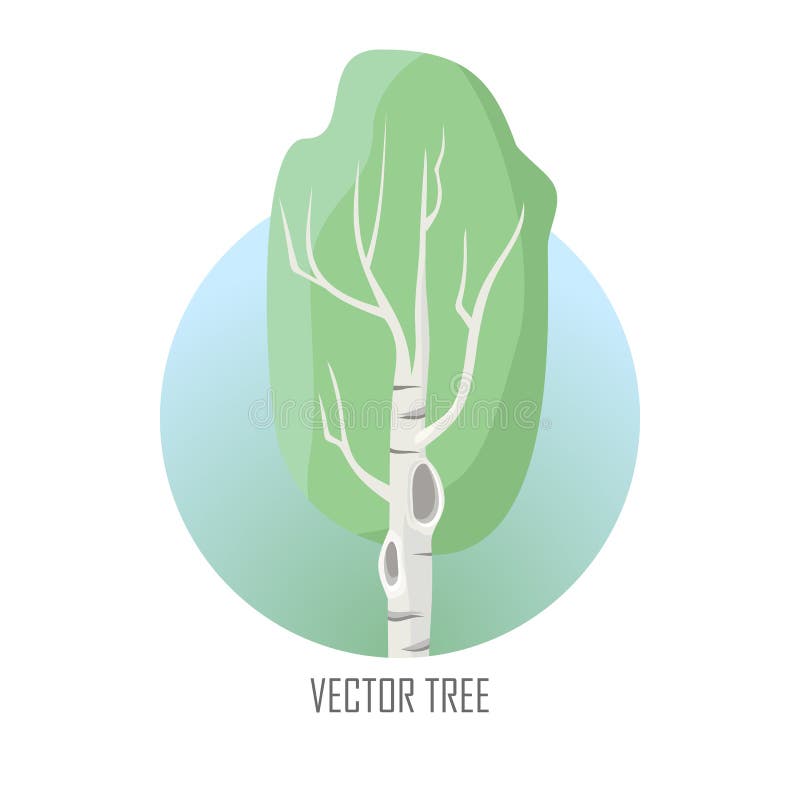 Silver Beech Tree Trunks Stock Illustrations – 20 Silver Beech Tree ...
