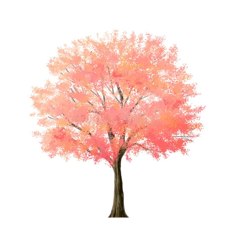 Vector Tree or Forest Side View Isolated on White Background for ...