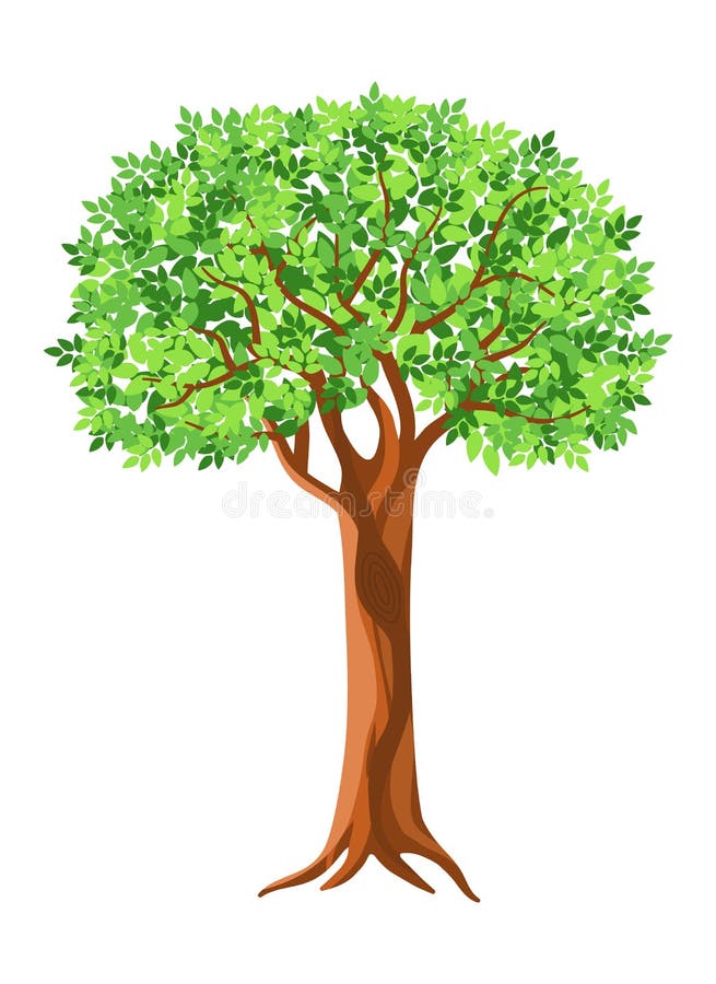 Live Oak Tree Vector Stock Illustrations – 132 Live Oak Tree Vector ...