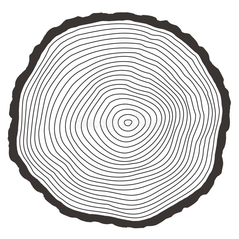 Vector tree rings stock vector. Illustration of vector - 47564664