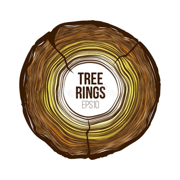 Tree Topology Stock Illustrations – 49 Tree Topology Stock ...