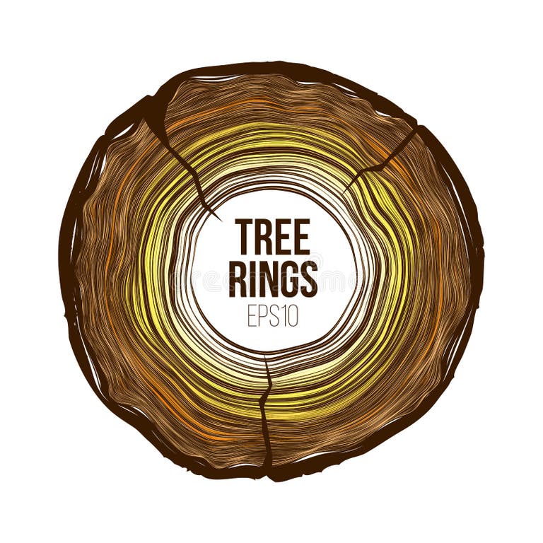 Tree Topology Stock Illustrations – 103 Tree Topology Stock ...