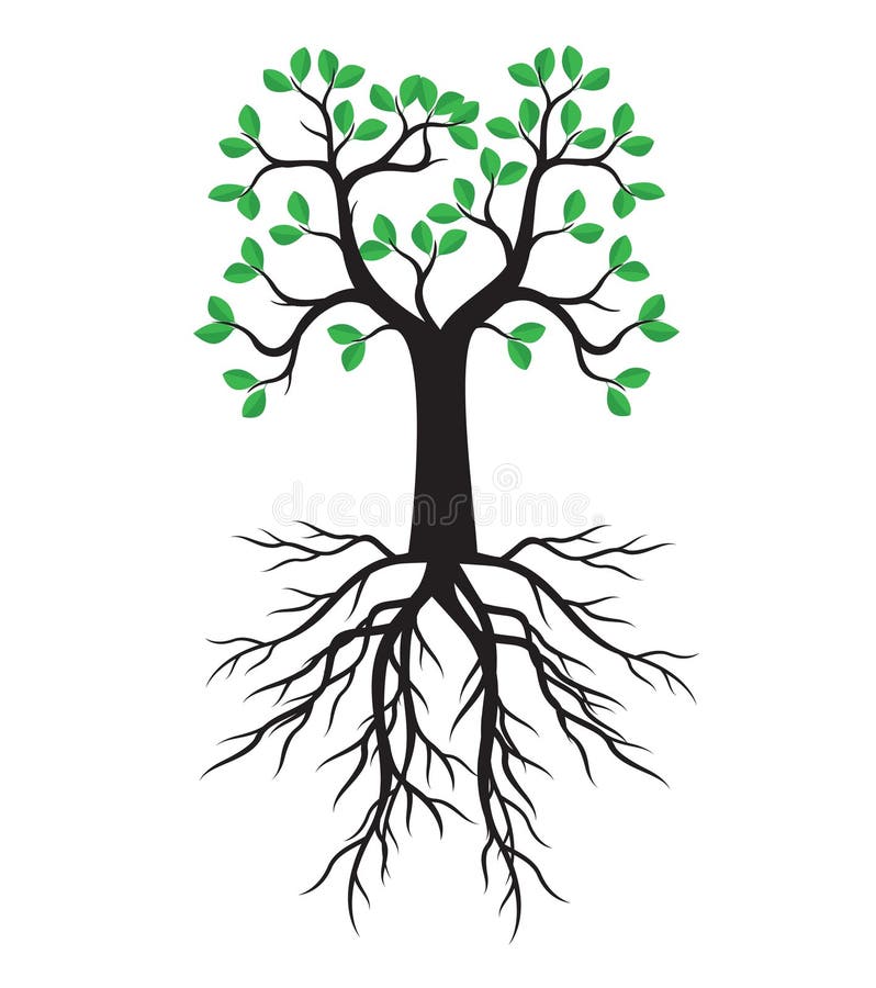 Vector Tree with Roots. Outline Illustration Stock Vector ...