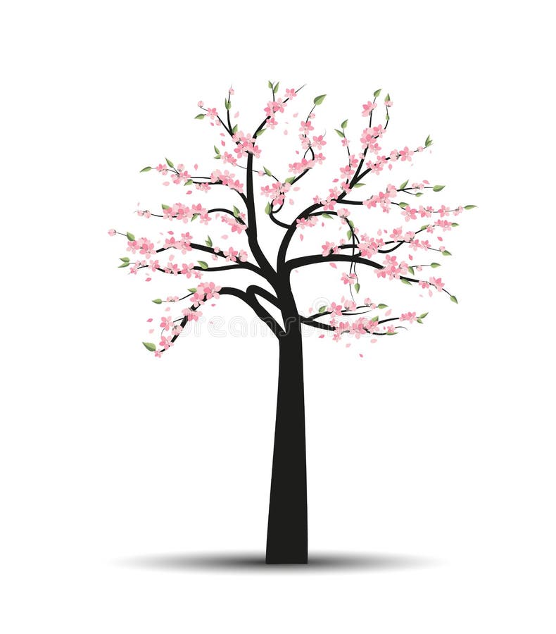 Vector tree sakura stock vector. Illustration of floral - 114930772
