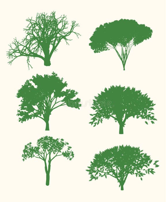 Vector Tree Set Illustration Stock Vector - Illustration of ...