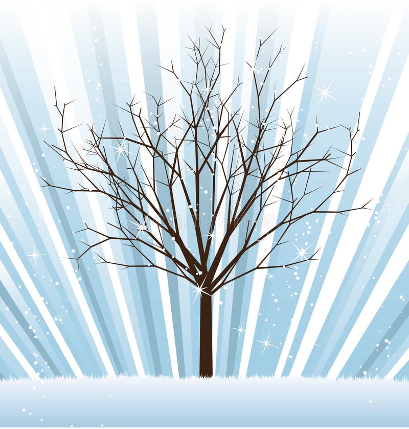 Winter tree stock vector. Illustration of tree, mist - 17551442
