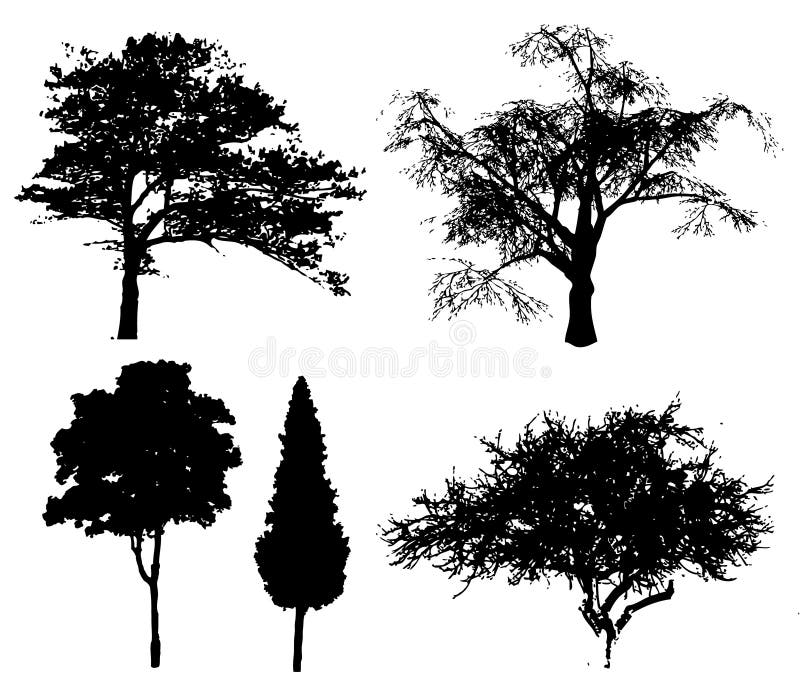 Vector trees stock vector. Illustration of flower, plant - 1887989