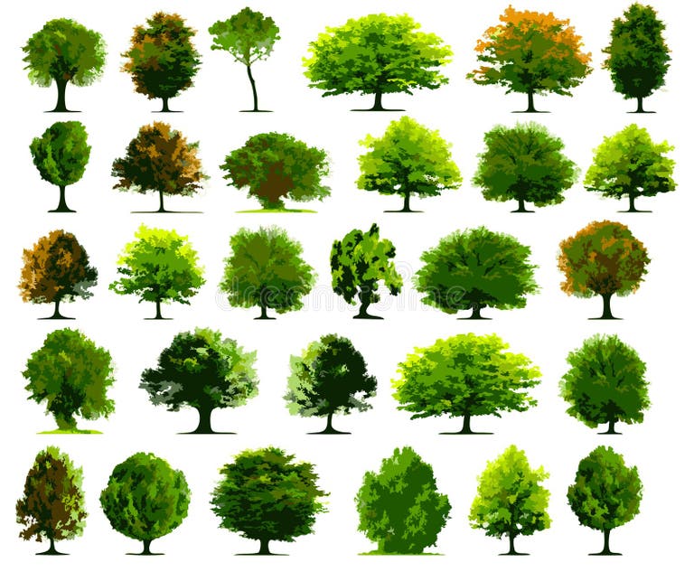 Vector trees stock vector. Illustration of elements, park - 5190669