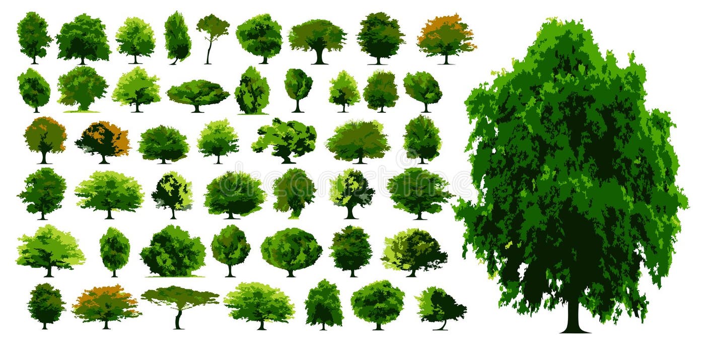 Loss Trees Stock Illustrations – 386 Loss Trees Stock Illustrations ...