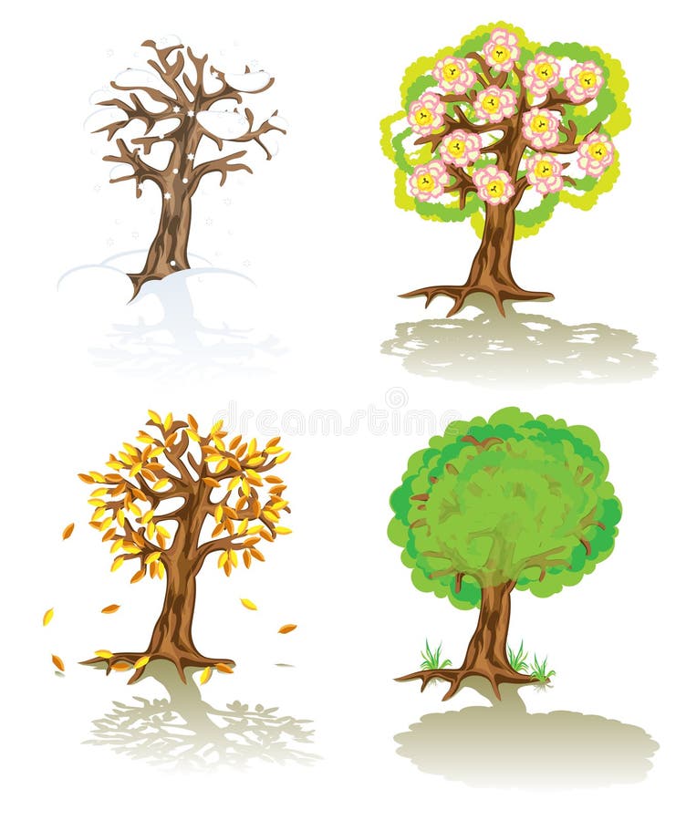 Vector Trees of Four Seasons Stock Vector - Illustration of vector ...