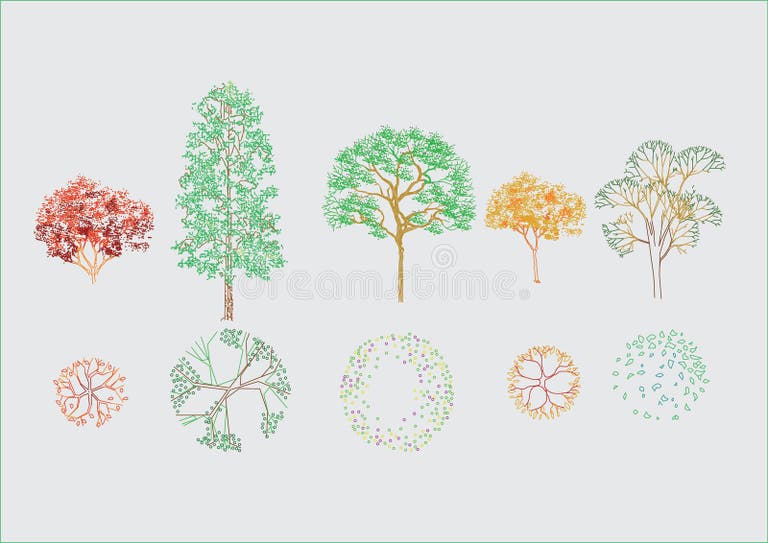 Trees Blueprint Stock Illustrations – 3,216 Trees Blueprint Stock ...