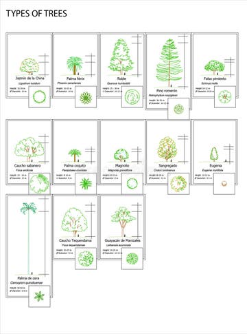 Trees Blueprint Stock Illustrations – 3,216 Trees Blueprint Stock ...