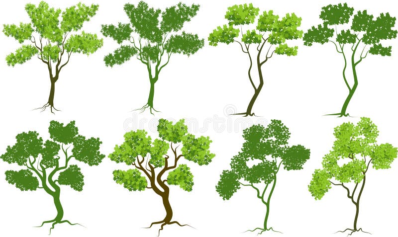 Eight Trees Vector Silhouettes Isolated on White Background Stock ...