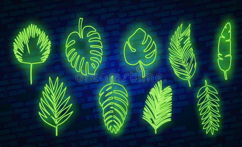 Vector Tropical Exotic Leaves, Realistic Jungle Leaves Set Isolated on ... Vector Tropical Exotic Leaves, Realistic Jungle Leaves Set Isolated on ...