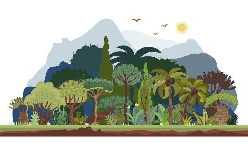 Vector Tropical Rainforest Landscape with Palms and Other Tropical ...
